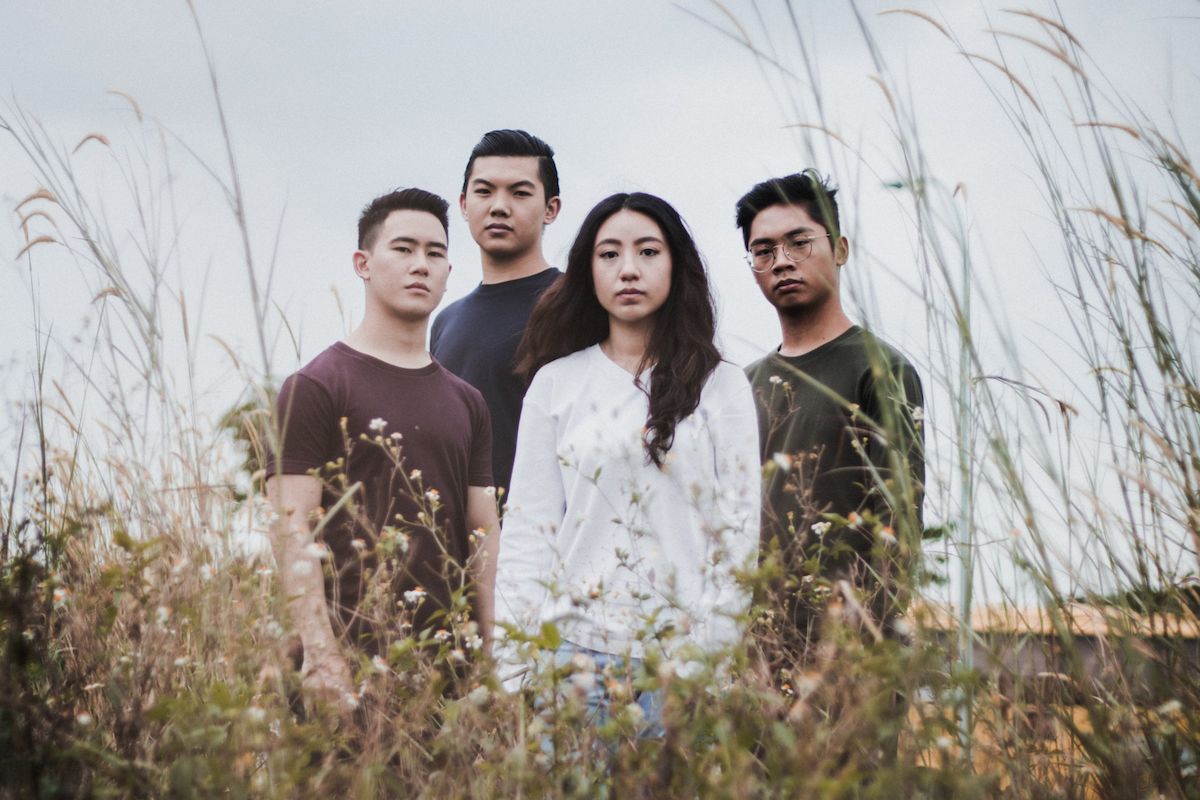 Coming Up Roses | Gaga